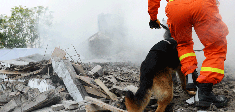 The conundrum of unforeseen incidents and emergencies: There's no SOP ...